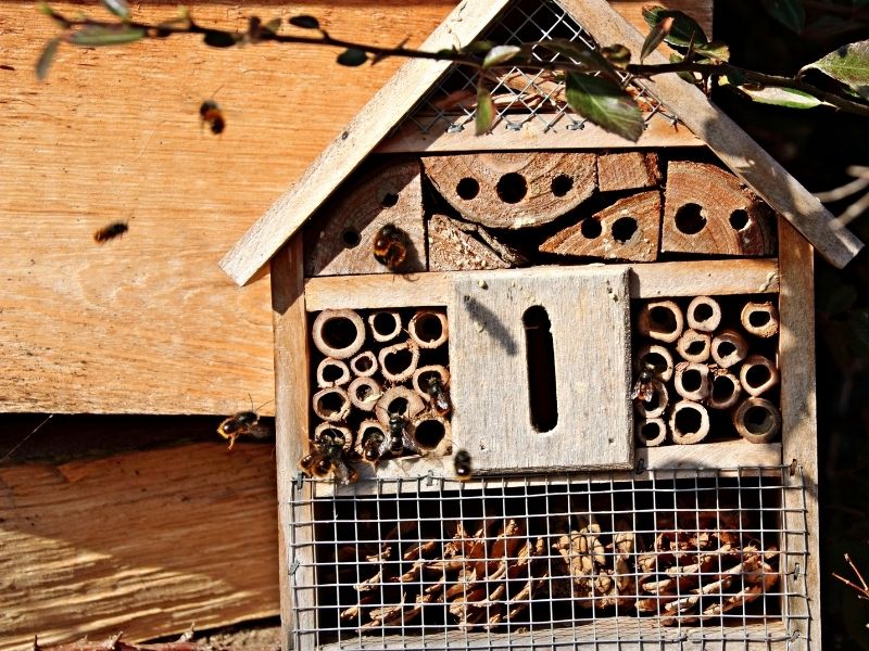 Het voordeel van een insectenhotel